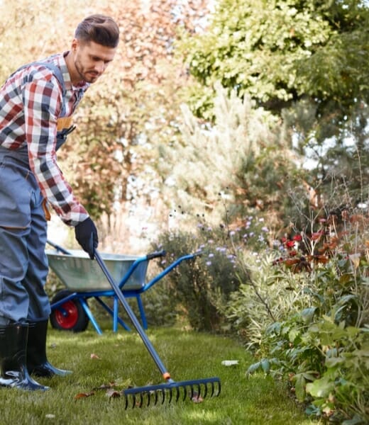 Fall Clean Up - Yardtech Solutions